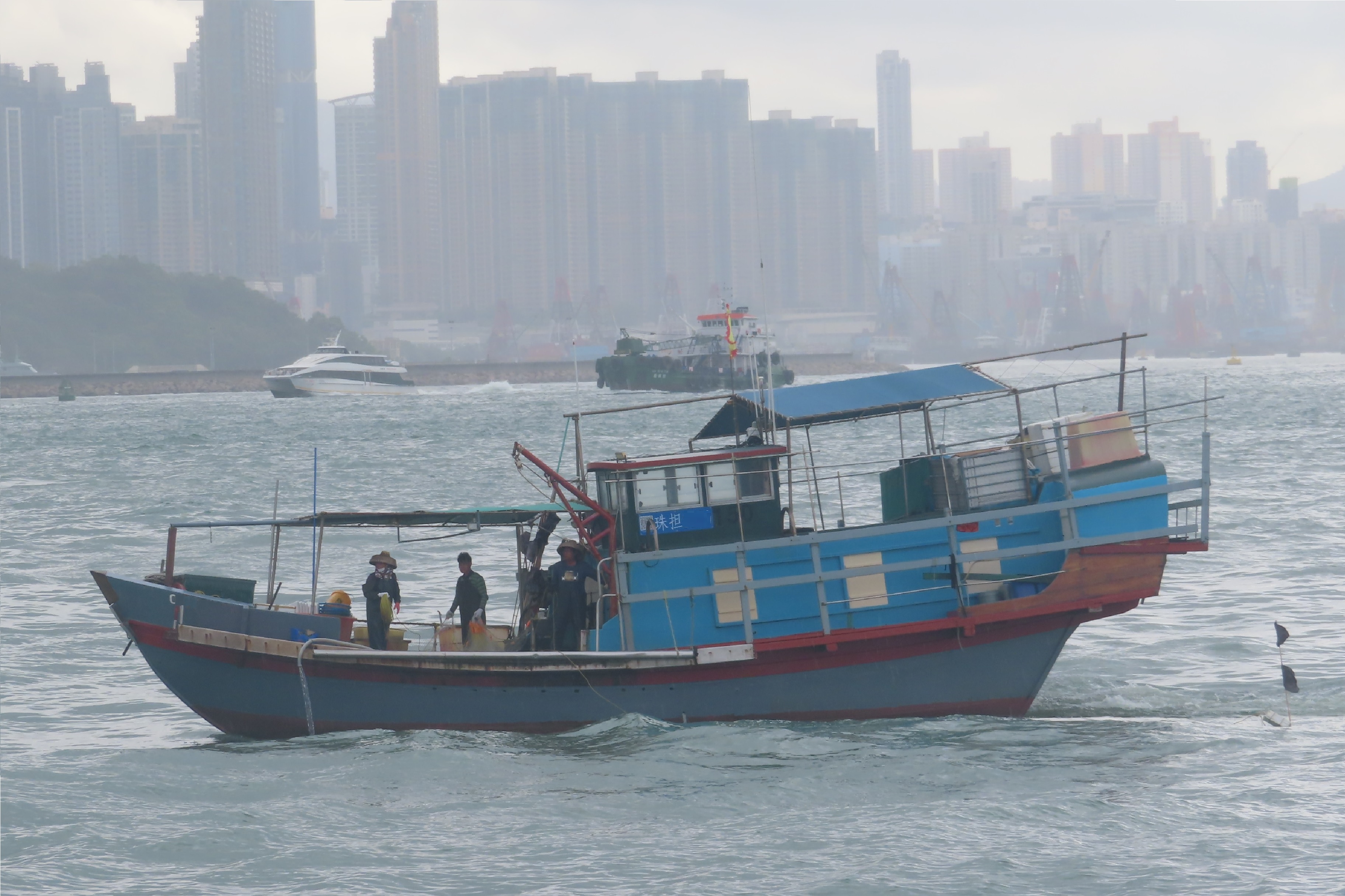 Hong Kong Fish