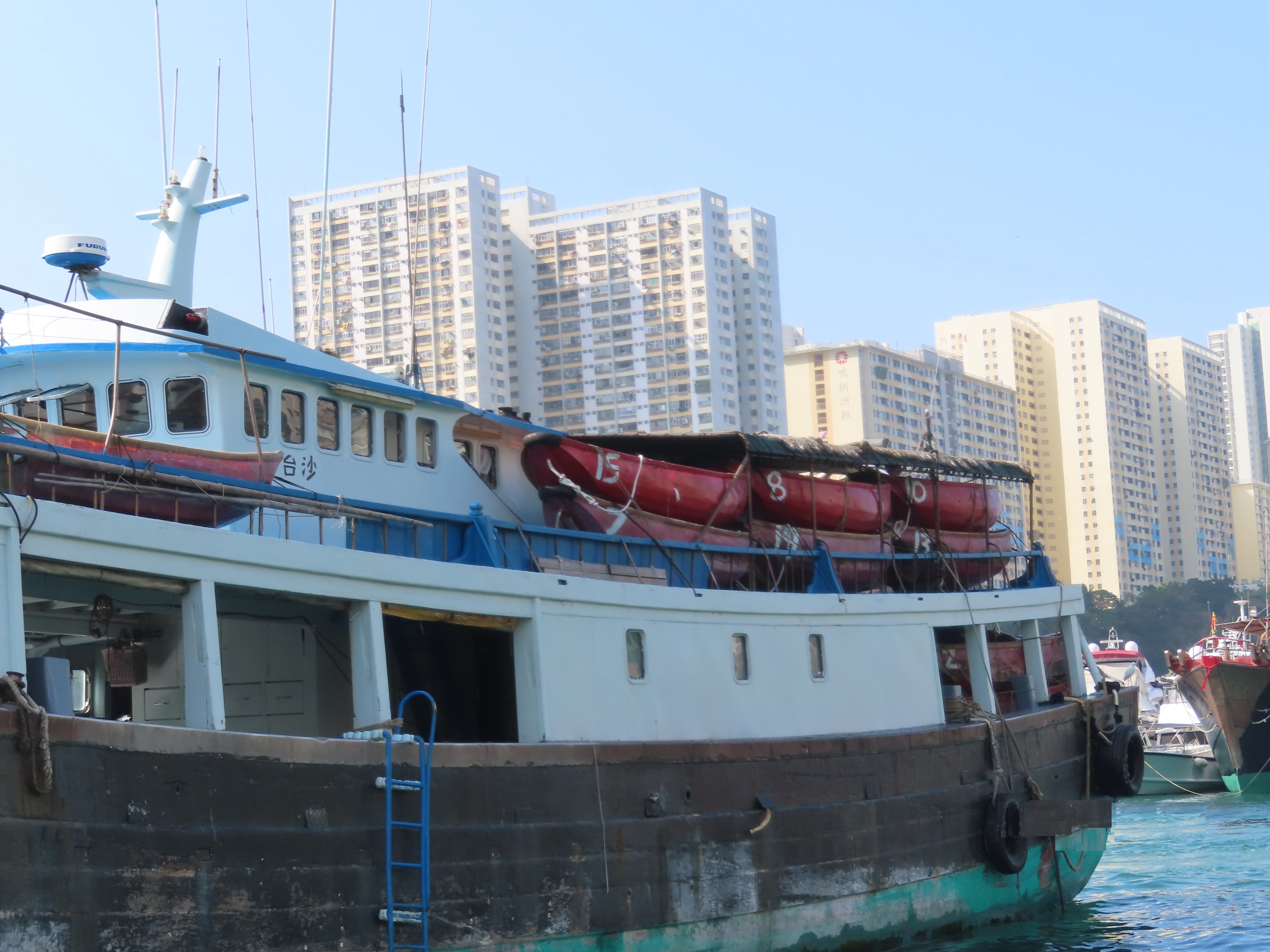 Hong Kong Fish