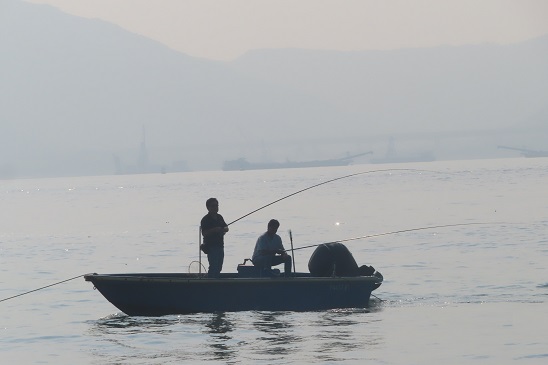 Hong Kong Fish